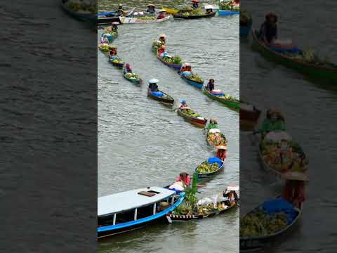 Kerala’s Legendary Boat Race – The Spirit of Vallam Kali