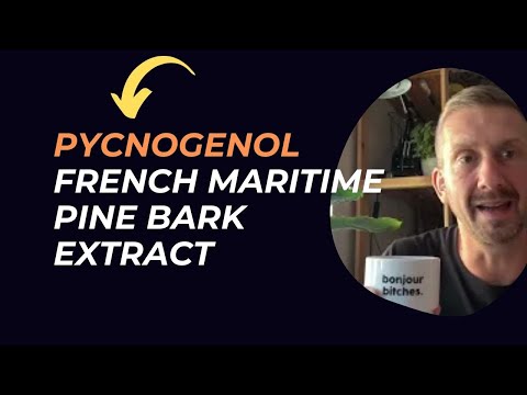 Pycnogenol French Maritime Pine Bark Extract - ED, ADHD, Pre-workout Supplement, Brain