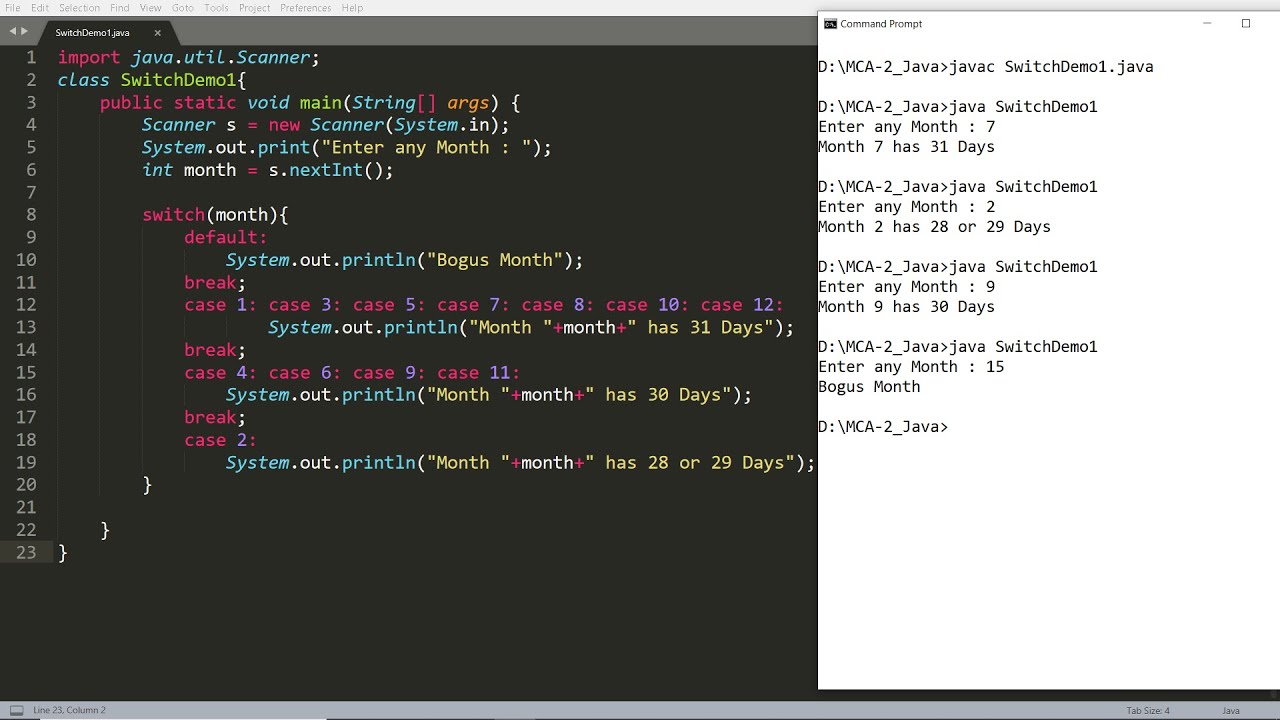Java - switch statement with explanation and practical demonstrations