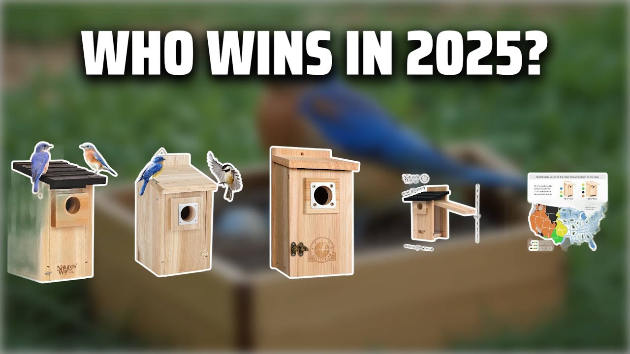 The Top 5 Best Bluebird Nesting Box in 2025 - Must Watch Before Buying!