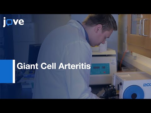Giant Cell Arteritis (GCA) Immunohistopathologic Study | Protocol Preview