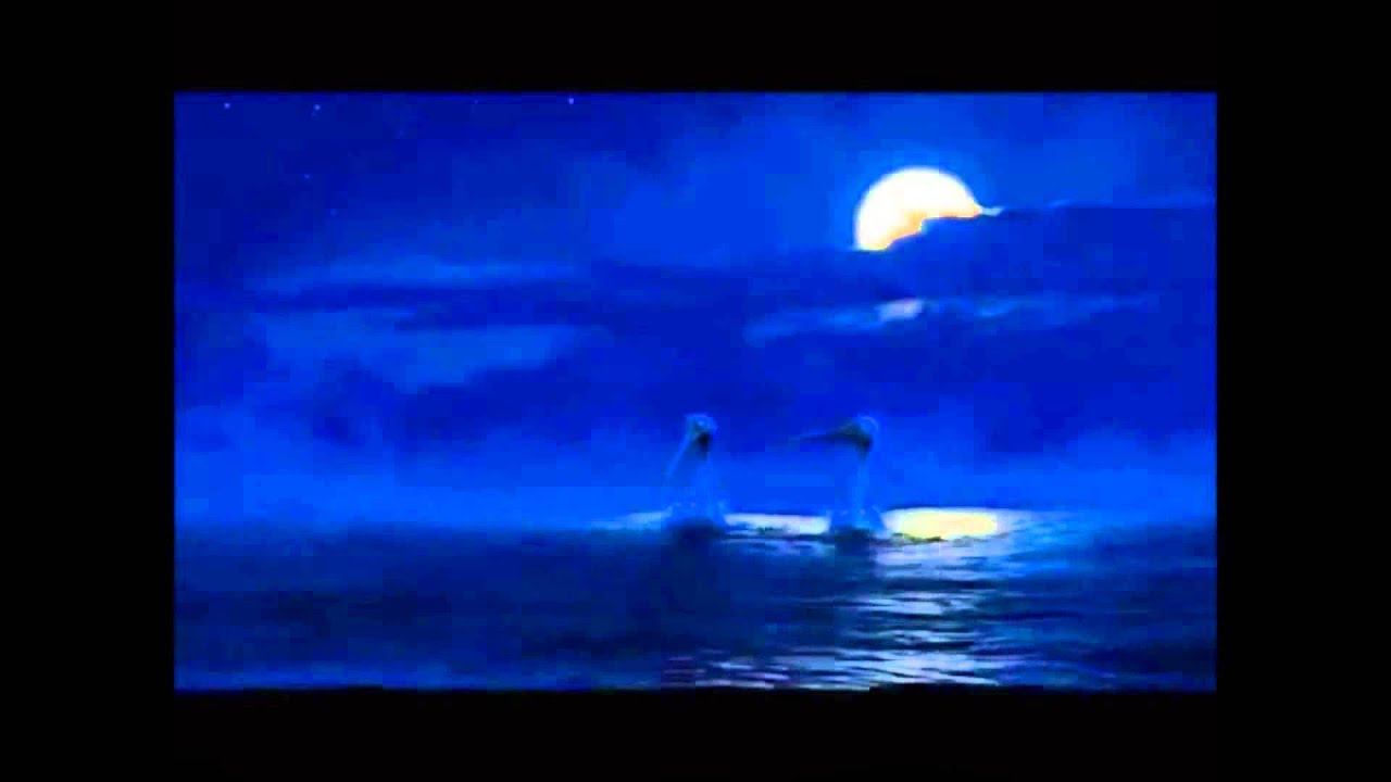 find Nemo (BOP, NICE)