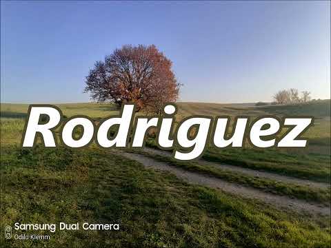 Rodriguez as a surname its meaning and origin