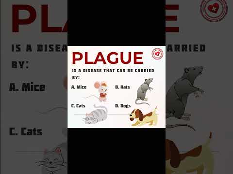 Which animal carries the plague?