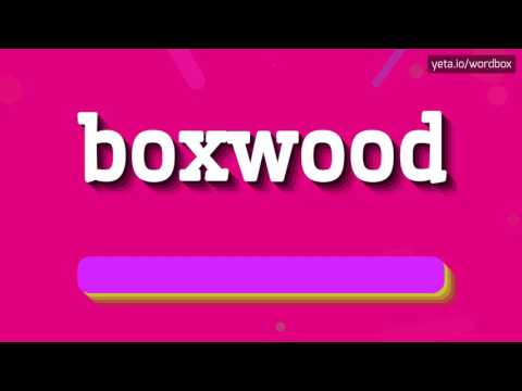 BOXWOOD - HOW TO PRONOUNCE IT!?