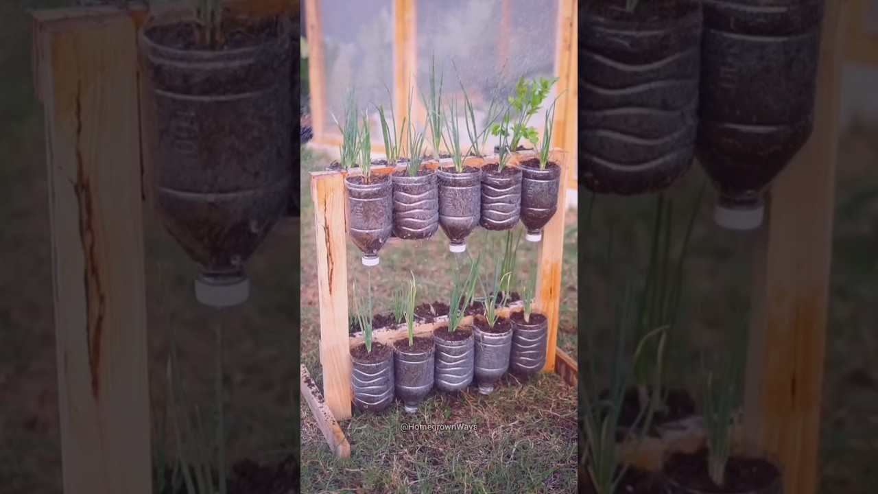 Creating a hanging vegetable garden #garden #roomtogrow #growathome