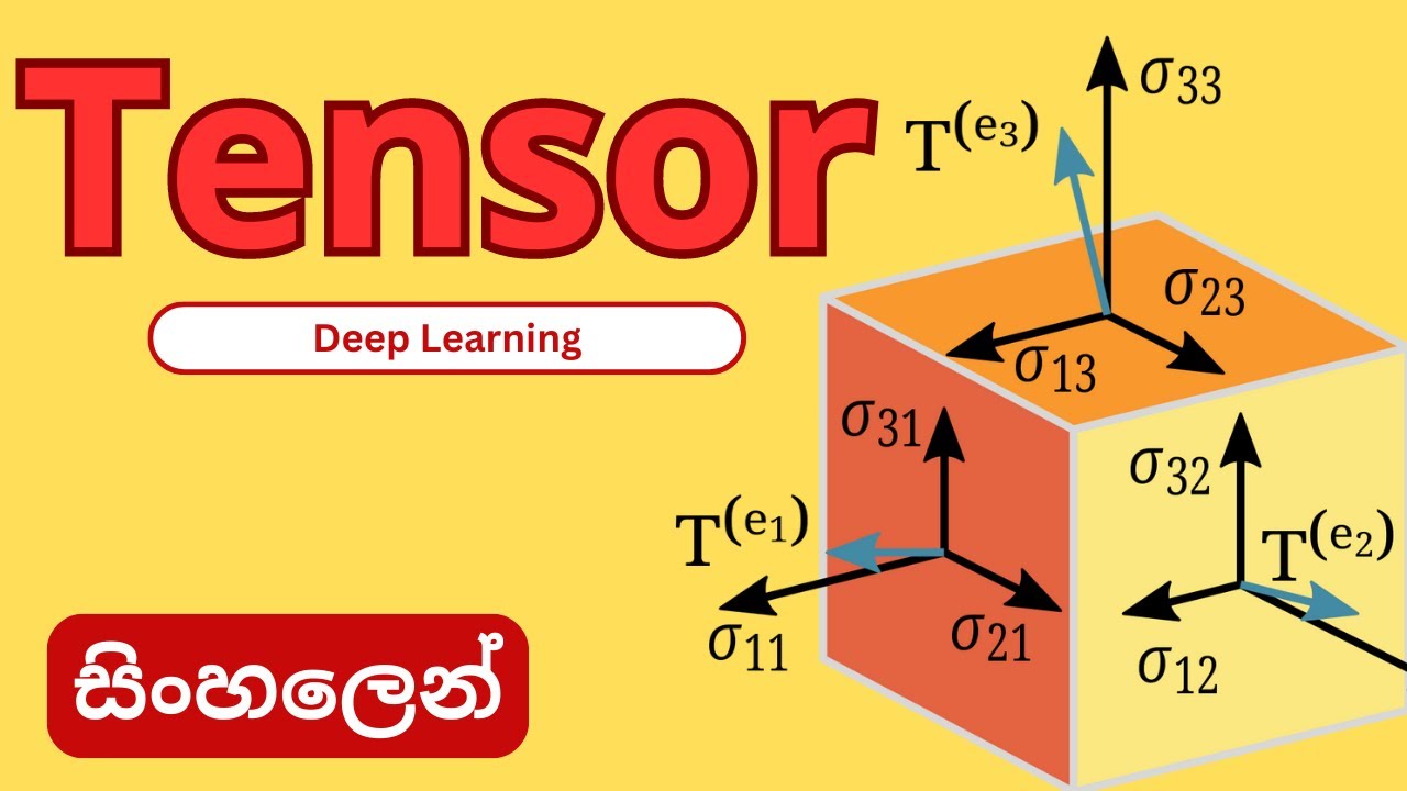 Tensor Vs NumPy Array | Sinhala