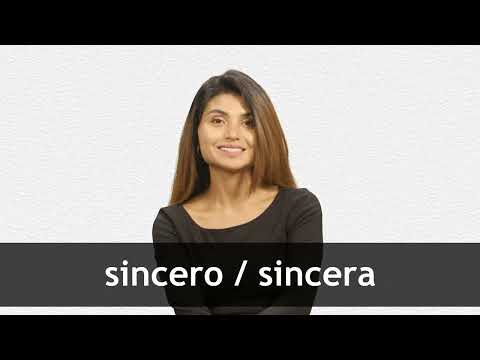 English Translation of “SINCERO” | Collins Spanish-English Dictionary