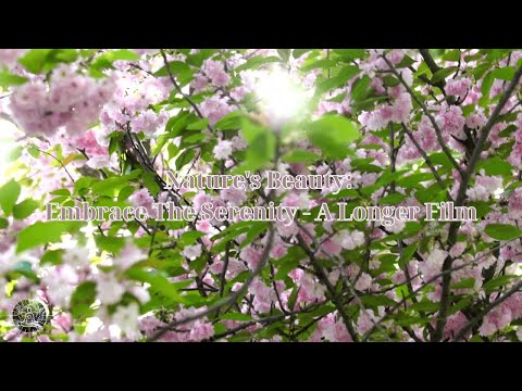 Nature's Beauty: Embrace The Serenity - A Longer Film.