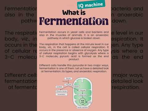 #Fermentation kya hai? #What is Fermentation?fermentation process, #science #biology #facts#science