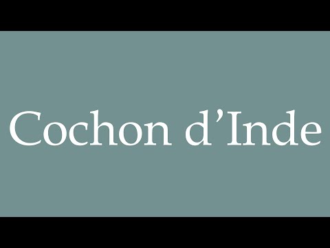 How to Pronounce ''Cochon d’Inde'' Correctly in French