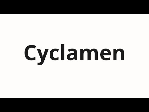 How to pronounce Cyclamen