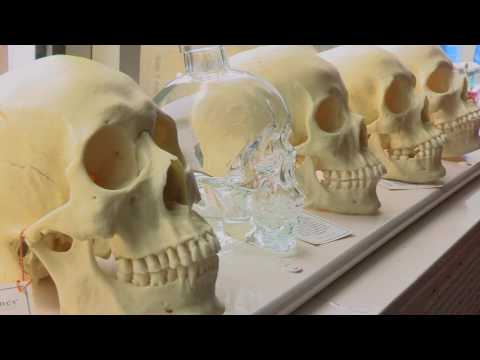 Criminology Teaser Video (UK)