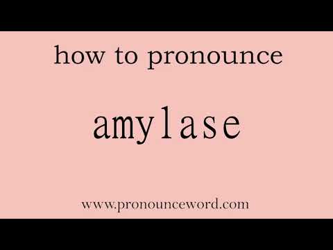 amylase: How to pronounce amylase in english (correct!).Start with A. Learn from me.