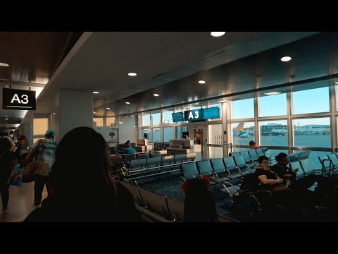 What you NEED to know about Bush Intercontinental Airport | IAH