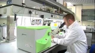 Assay Development Scientist Overview | What is an assay development ...