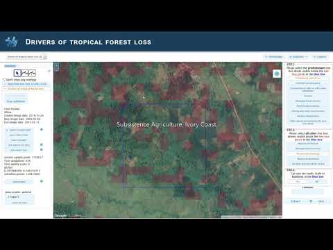 Example of Subsistence Agriculture, Ivory Coast