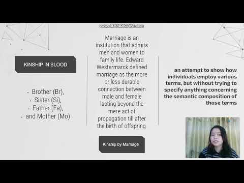 lexical Fields and Kinship.