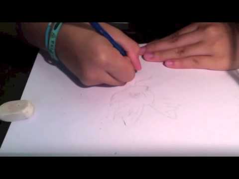 Fennekin speed draw