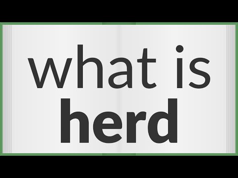 Herd | meaning of Herd