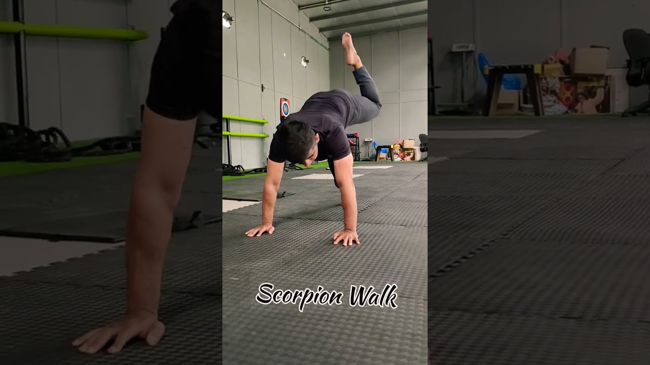 Scorpion Walk #shorts #calesthenics #youtubeshorts #bodyweighttraining