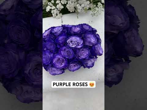 Purple Roses 😍 | What’s your favorite color? #flower #rose #flowerbouquet