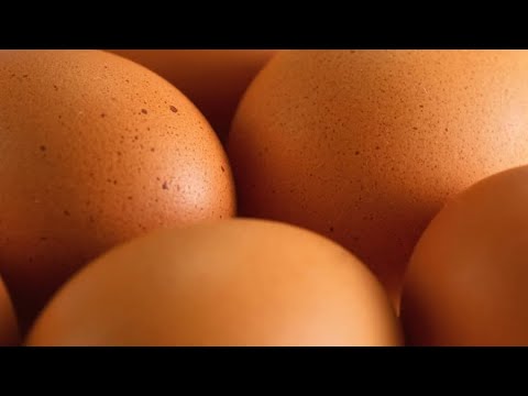 Why Do Eggshells Sometimes Have Weird Bumps and Spots?