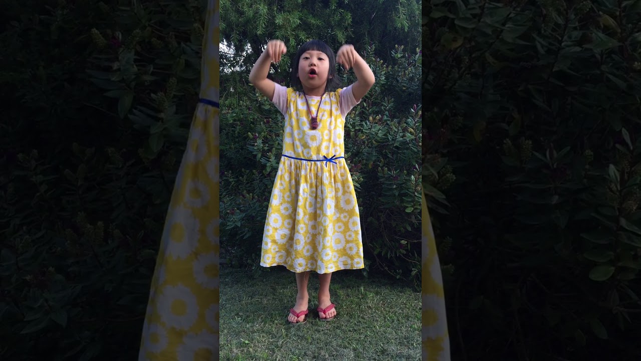 Grade one song (Song from Steiner school)