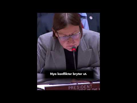 Röda Korset om vikten av krigets lagar – FN:s säkerhetsråd