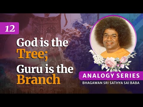 12 - God is the Tree; Guru is the Branch | Analogy Series | Sri Sathya ...