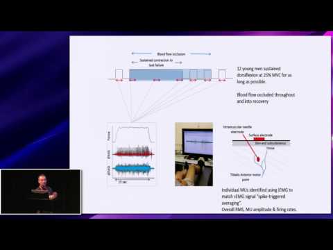 Motor unit recruitment during sustained fatiguing contractions, Jamie McPhee