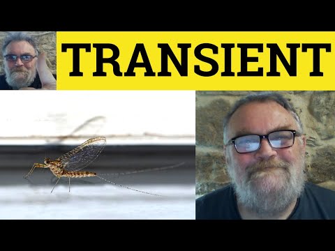 🔵 Transient Meaning - Transient Examples - Define Transience - Formal English