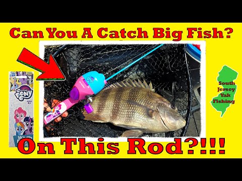 Can I Use This Toy Rod To Catch Big Fish? - My Little Pony Fishing Challenge for Jersey Sheepshead!