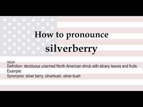 How to pronounce 'silverberry' + meaning