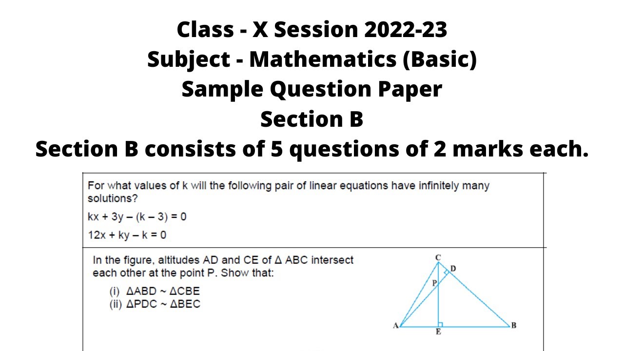 sample paper maths basic solutions class 10 2023 Section B