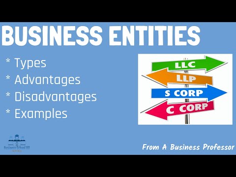 7 Most Common Types of Business Entities | From A Business Professor