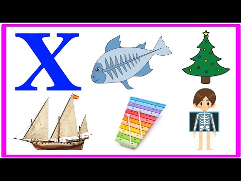 5 Words That Start With X || 5 Words Learning For Toddlers || 5 Words From X || Kids Learning Video