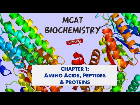 Biochemistry MCAT Chapter 1: Amino Acids and Proteins Review Video Lecture