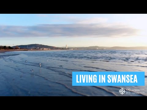 Living in Swansea Bay - lifestyle, schools, buying a property
