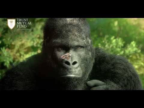 Spotting potential Gorilla companies with the power of Terminal Value Investing | NFO is Now Open!