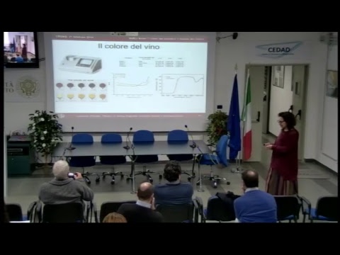 I colori del mondo e il mondo del colore