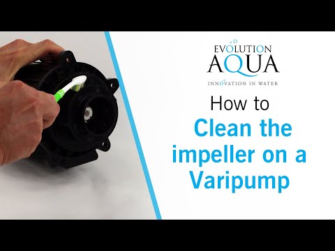 How to clean the impeller on an Evolution Aqua Varipump