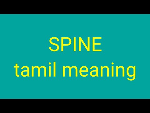 SPINE tamil meaning/sasikumar