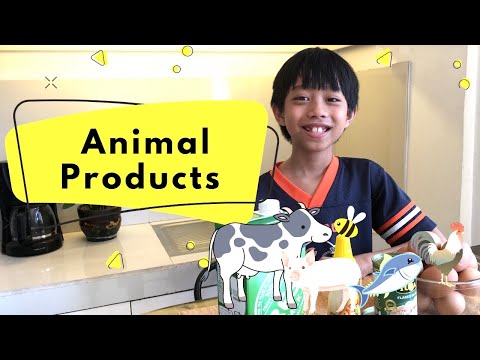 Animal Products and Their Uses