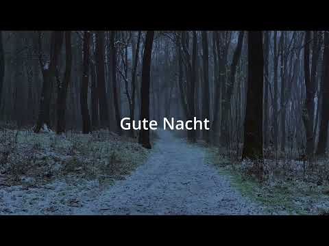 Winterreise: Gute Nacht [German+English Lyrics]