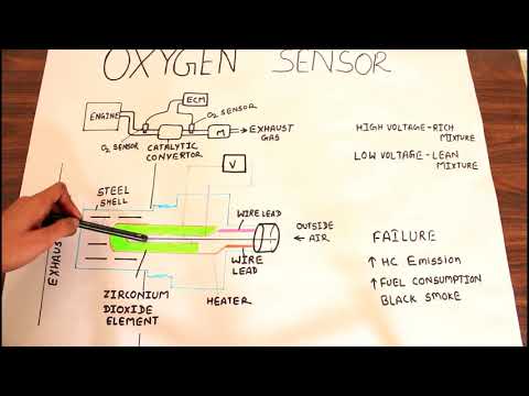 Oxygen Sensor - Industrial Oxygen Sensor Latest Price, Manufacturers ...
