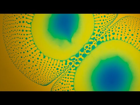 Marangoni Droplet Bursting on a Drop of Oil
