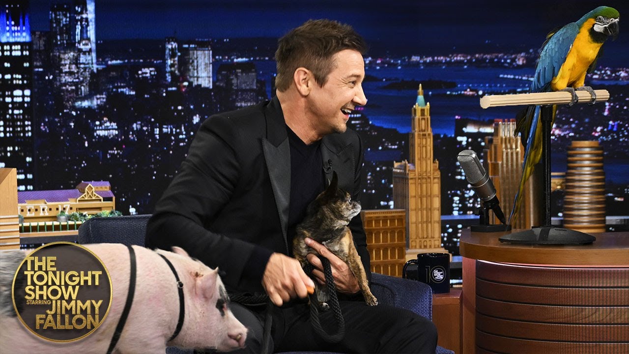 Jeremy Renner Introduces Jimmy to His Emotional Support Animal | The ...