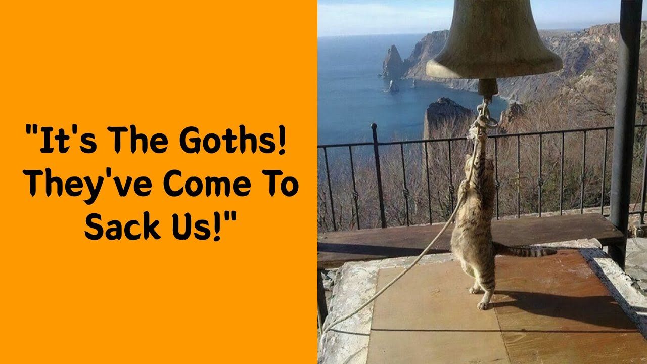 50 Hilarious Medieval Cat Memes That’ll Make Any Knight Giggle