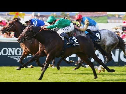 ZABIARI wins the G3 Prix Bertrand du Breuil Longines